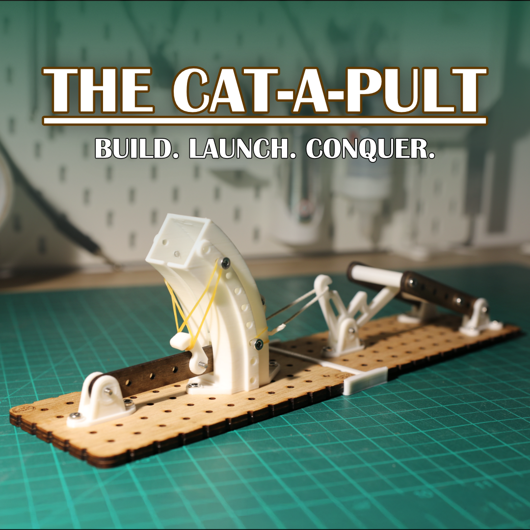 The Cat-a-pult – Crazy Cattraptions